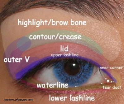 Map of eye for Eyemakeup