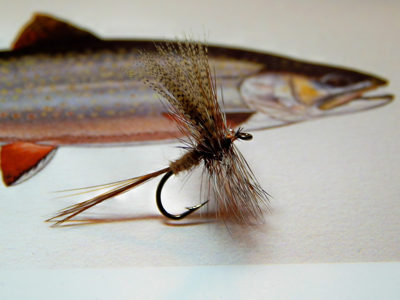 Small Stream Reflections: Catskill Flies, Plus.......