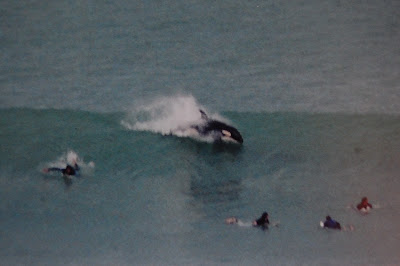 Living a Life at the Beach: Fruck ip Froday.......and Raglan today