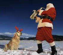 Funny Image Collection: Top 30 Funny Santa Claus Pictures in worlds!