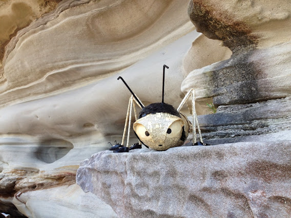 The Cabbages of Doom: 2014