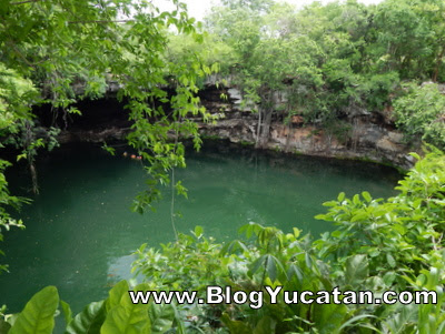 Cenotes - BLOG YUCATÁN