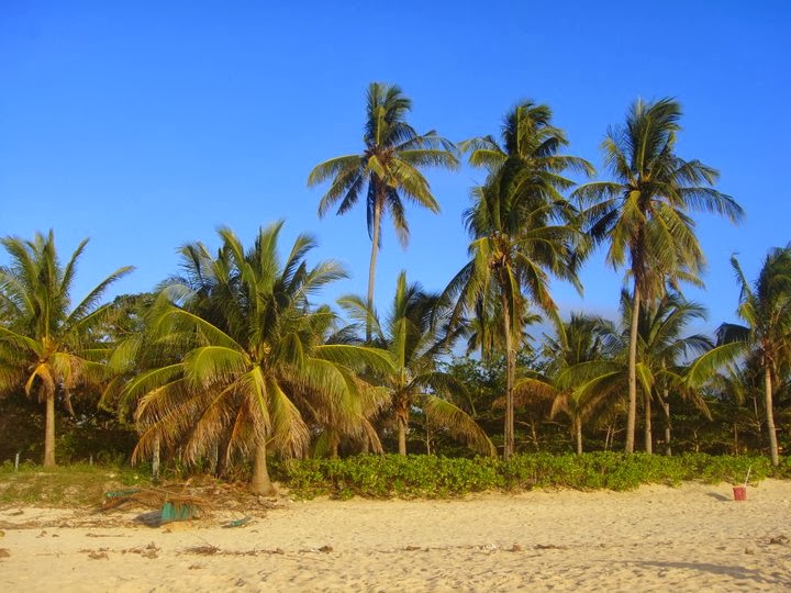 The Paradise of San Remigio Cebu
