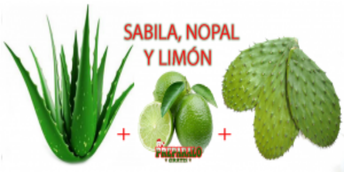 SABILA, NOPAL Y LIMÓN PARA COLESTEROL, DIABETES Y PERDER PESO ...