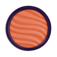 O Blush Perfeito Para o Seu Tom