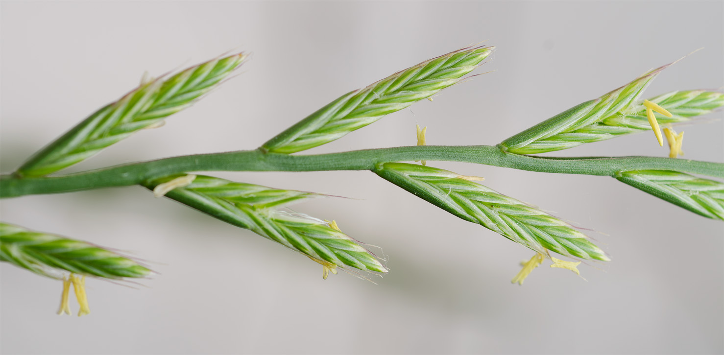 The Creek Journal: Same and Not