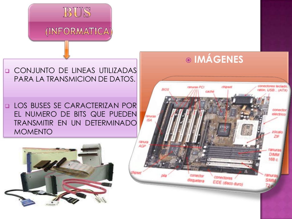 Informática: Placa Madre : Bus de Datos