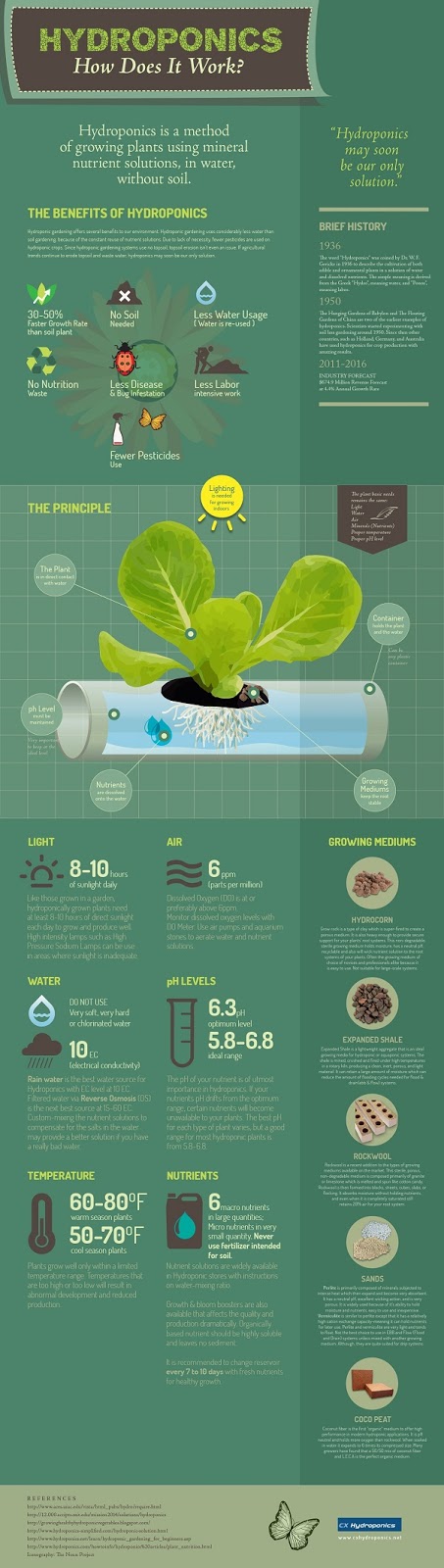 Hydroponic Gardening Basics: Learn All About This Gardening Method Here ...