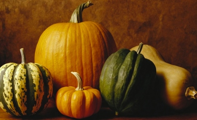 crear-con-ciencia: QUIERE "LIMPIAR" SU ORGANISMO...? ZAPALLO!.