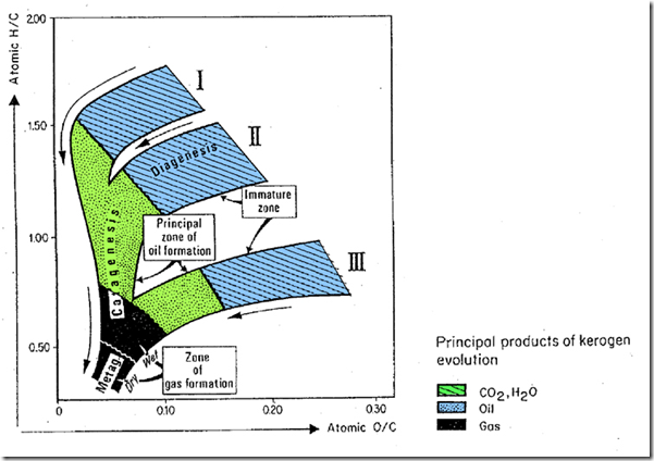 Geología del Petróleo: KERÓGENO