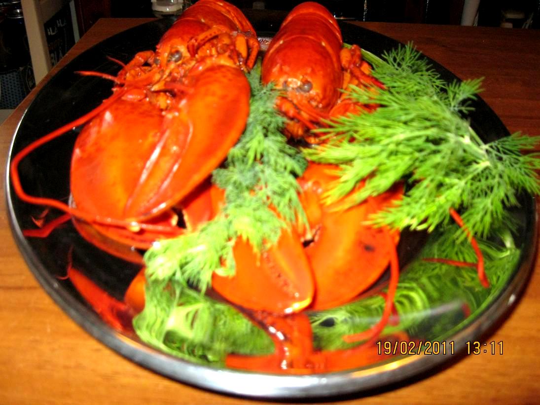 Rune Matomanen - Matälskare: Herrklubbens Gratinerade Hummer - Recept