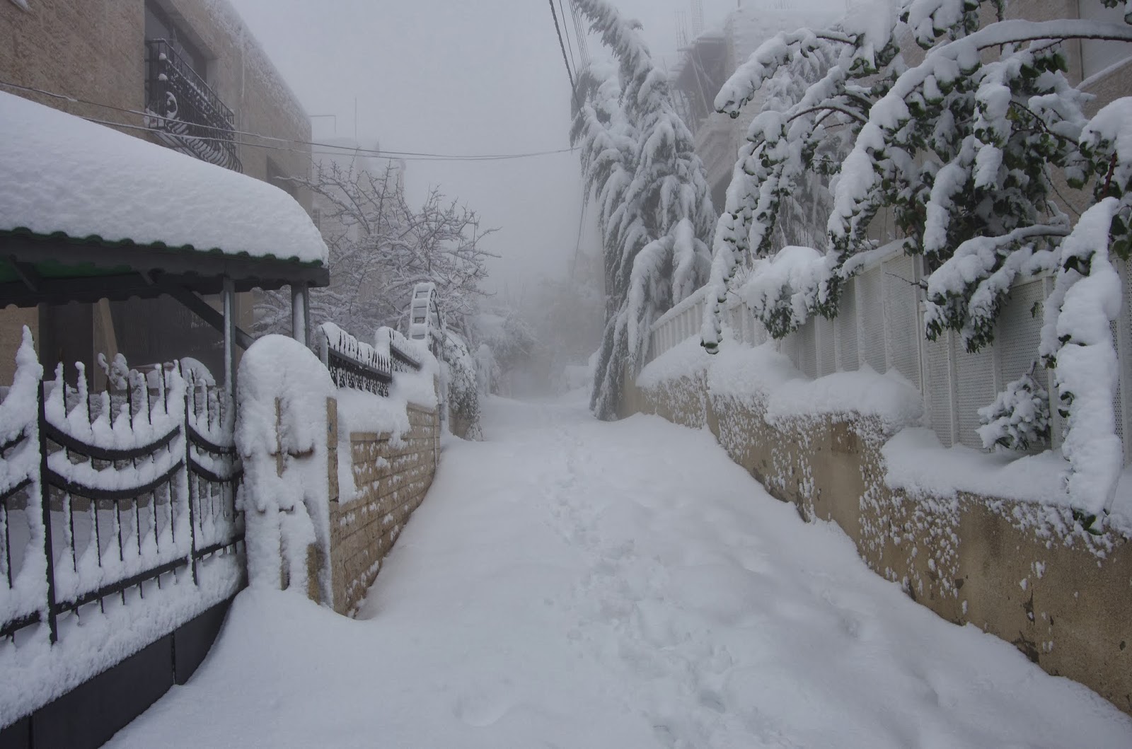 It's an expat life for us.: An epic dumping of snow in Amman.