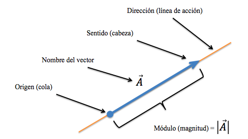 Ayuda con las matematicas: Calculo Vectorial | 1.1 Definicion de un ...