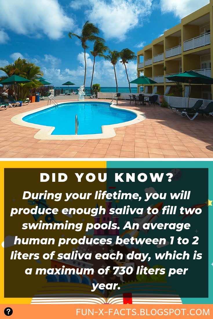 During your lifetime, you will produce enough saliva to fill two ...
