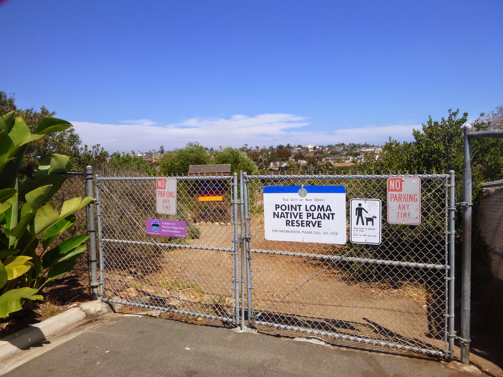 Walking the San Diego River: Week 17 1/7: Point Loma Native Plant ...