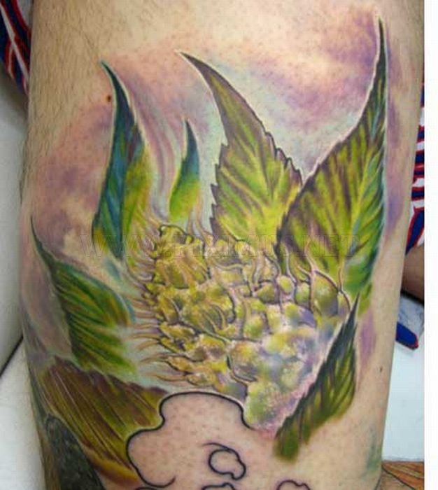 Unique Cannabis tattoo meanings And Design | Best Tattoo Design