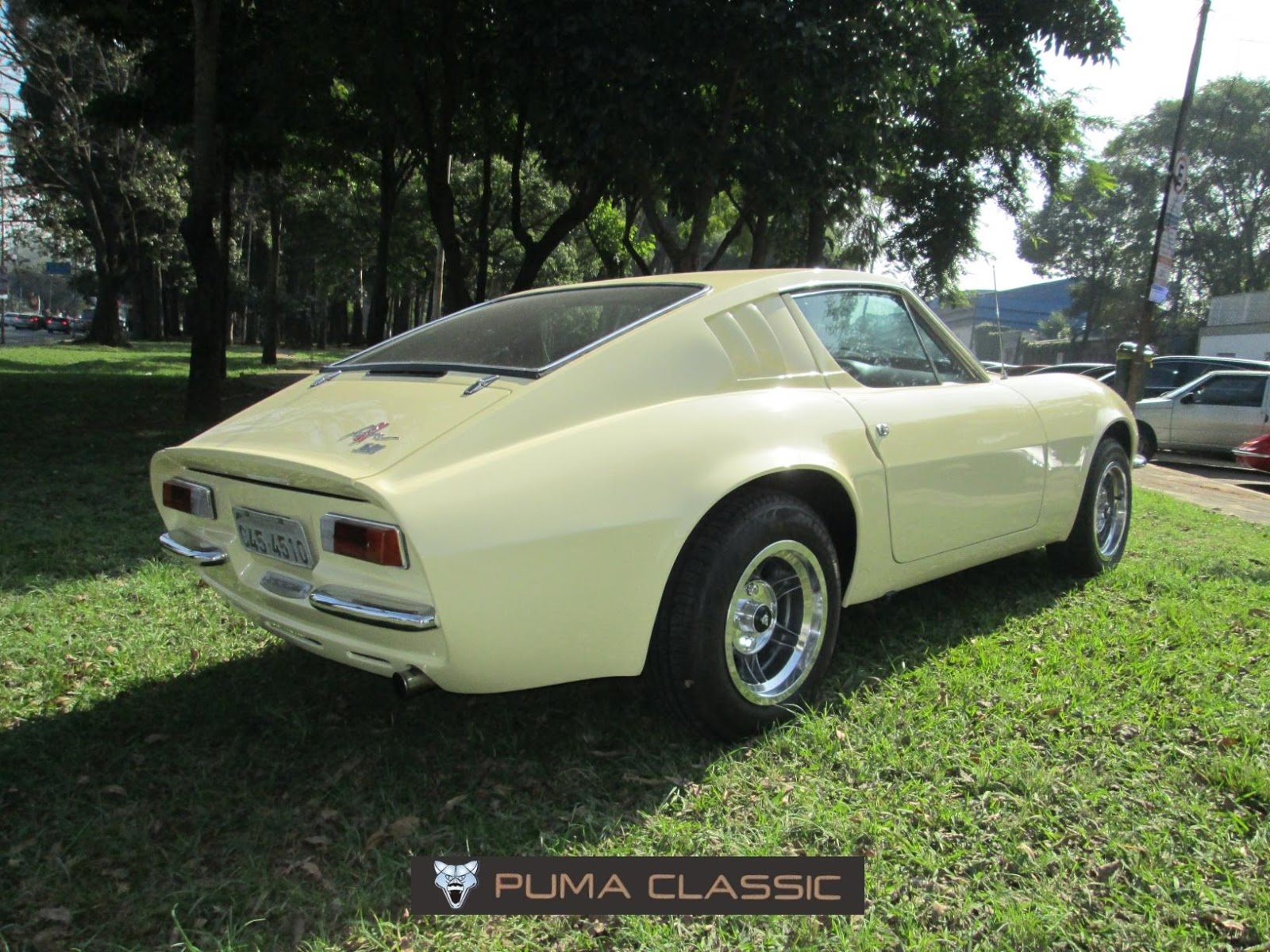 Puma Classic: Puma de amigo - GTE 1975