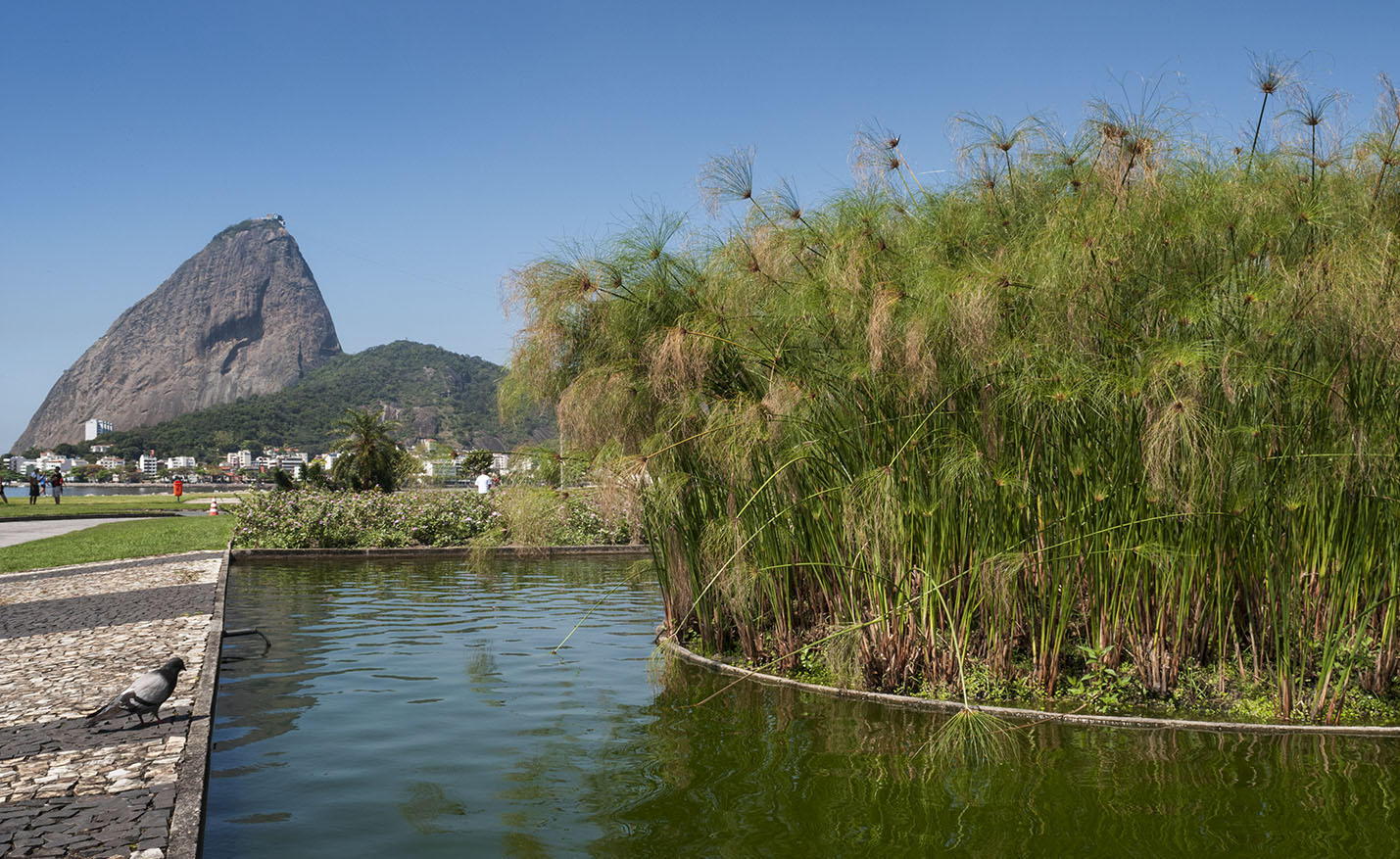 Exposição celebra os 50 anos do Parque do Flamengo ~ Resumo Fotográfico