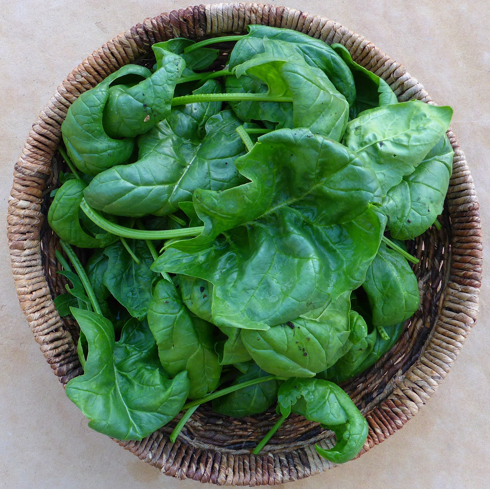 From Seed To Table: Harvest Monday - February 29, 2015