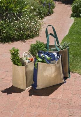 Project GREEN!: About Us