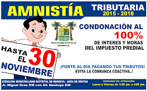 ÁRBOL DEL PAN, PAN DEL ÁRBOL: Artocarpus altilis | 60 MINUTOS NOTICIAS