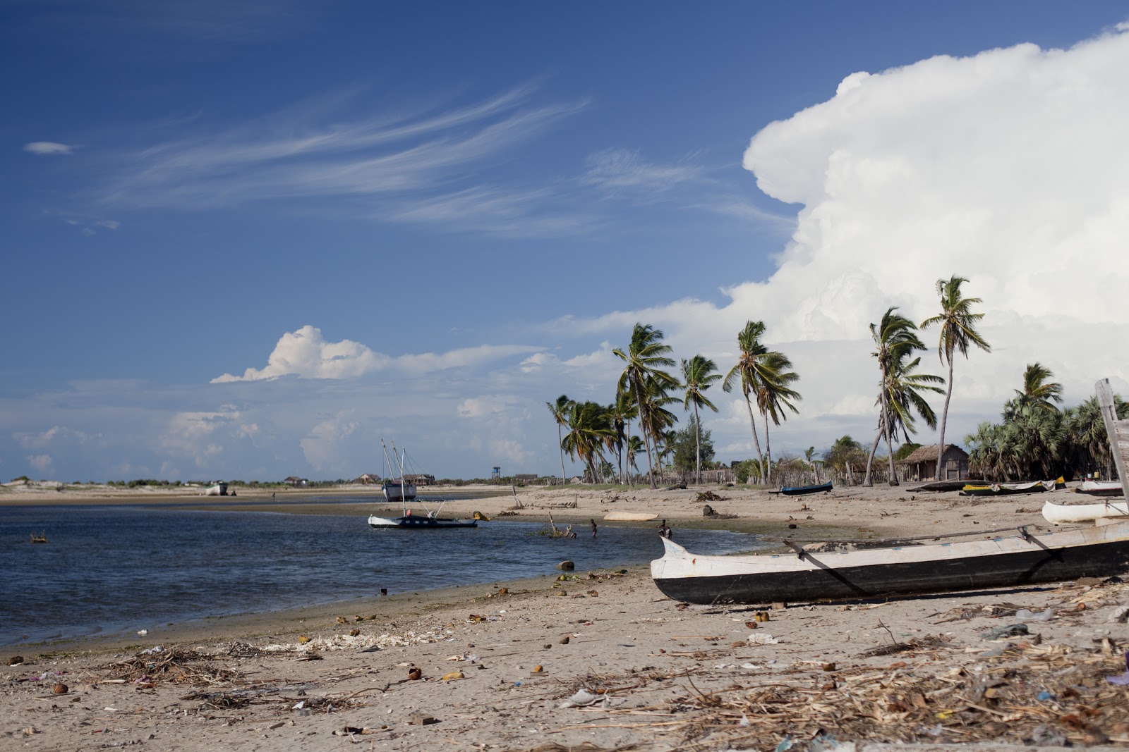 Portraits of the Planet: Madagascar: Belo sur Mer and Kirindy Metea ...