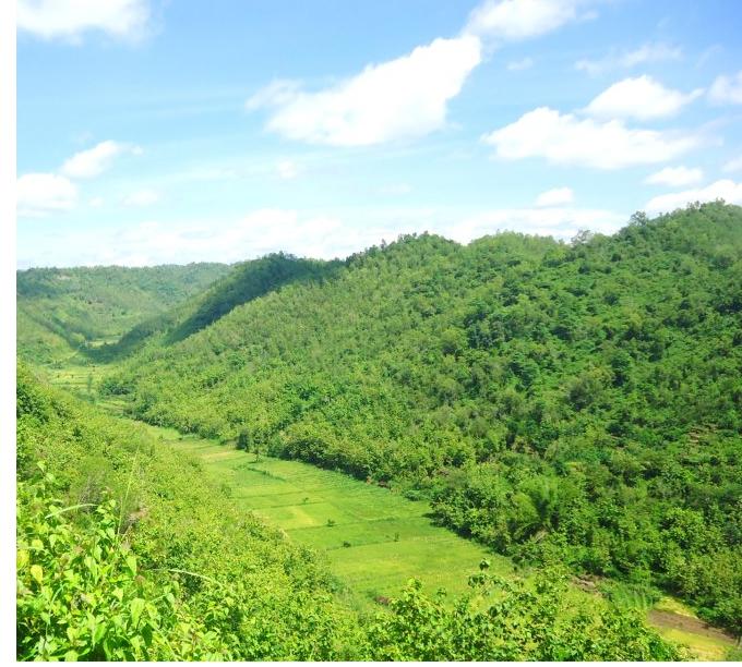 bondangalih's blog: Pesona Bengawan Solo Purba