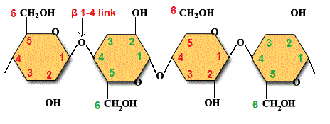 #9. Carbohydrates - Polysaccharides | Biology Notes for A level