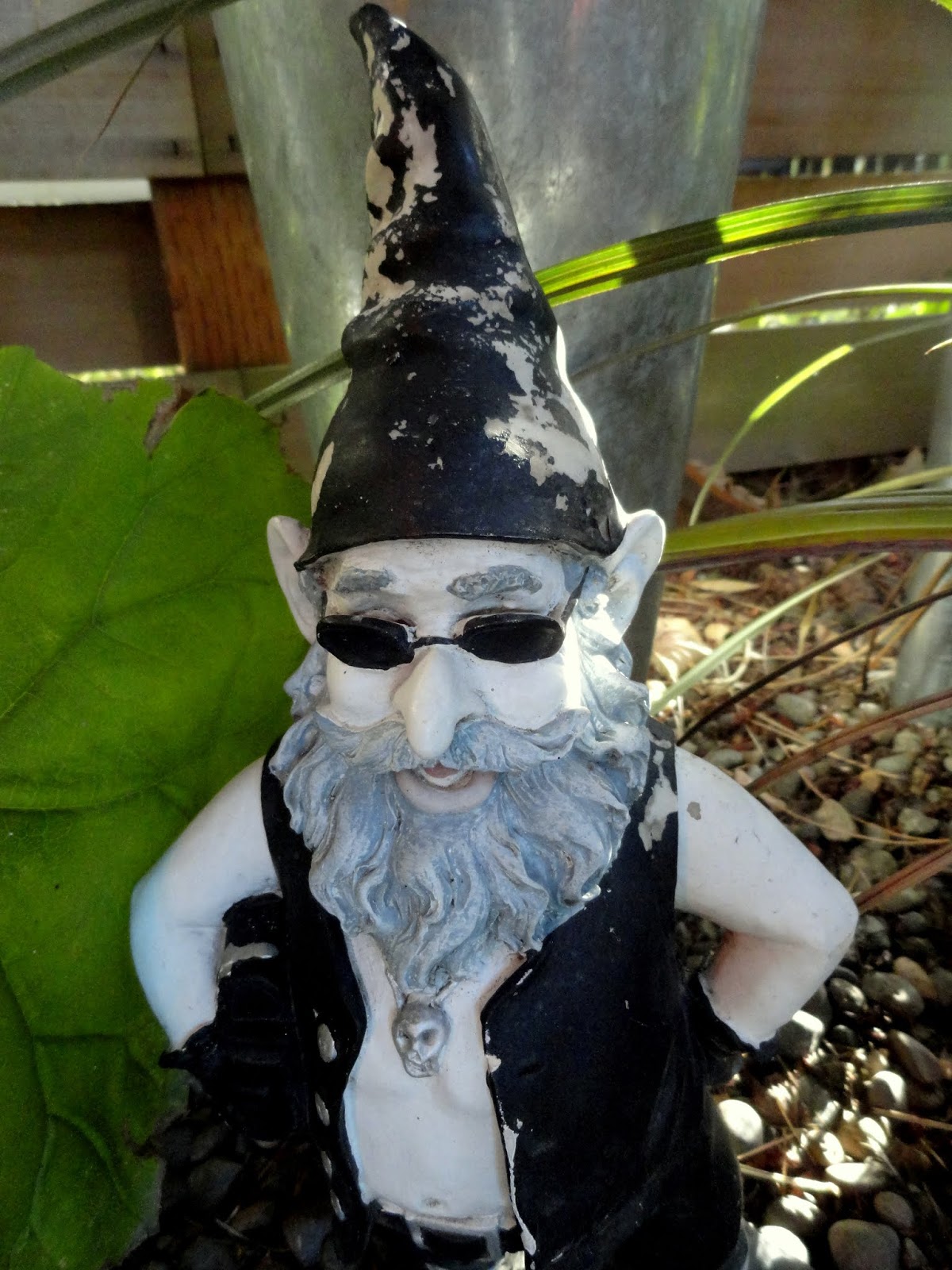 danger garden: I've been gnomed....