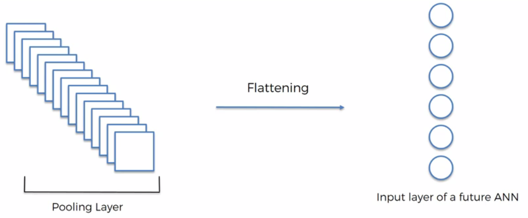 Convolutional Neural Network Explained