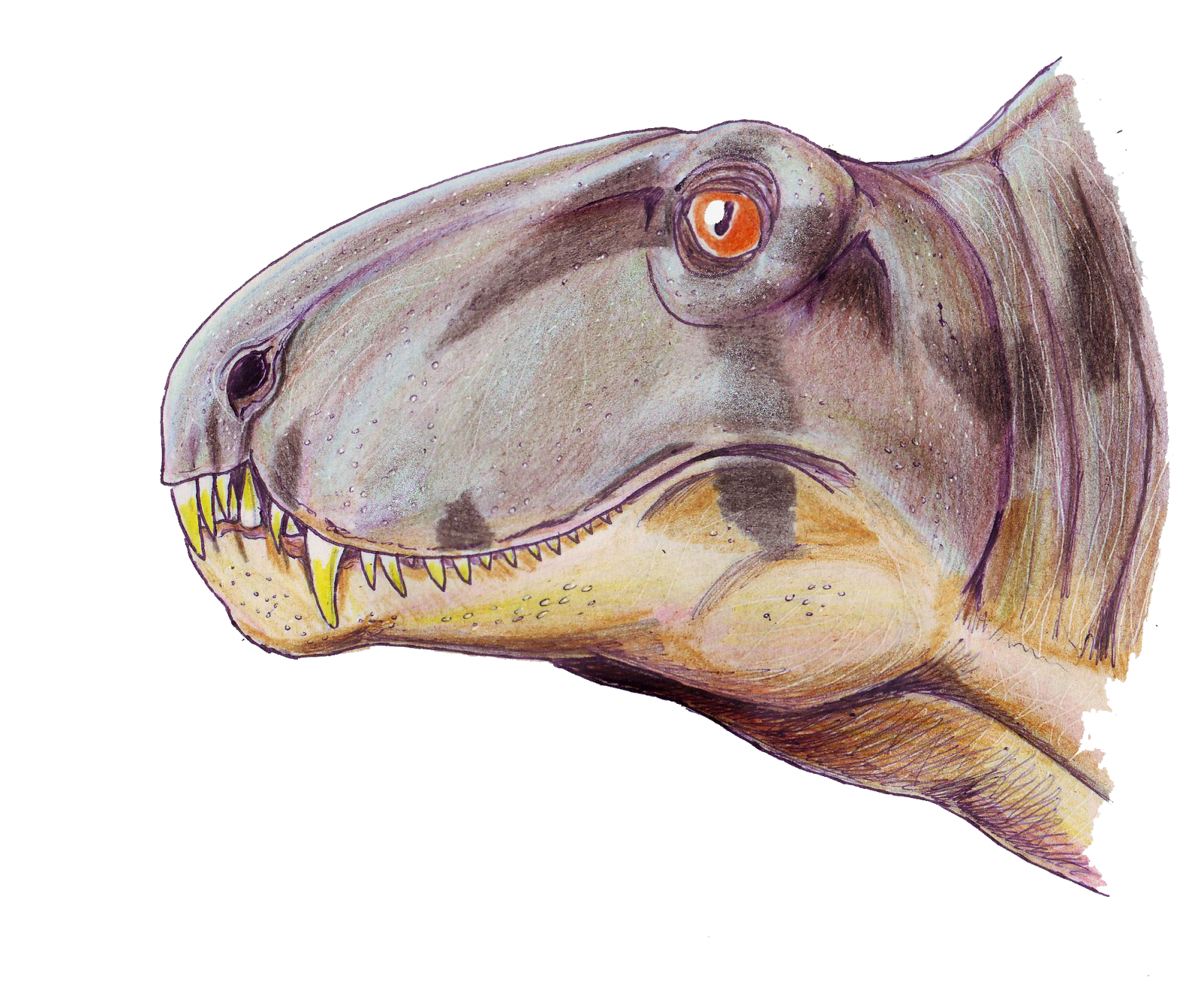 The Expeditioner's Discovery Guild: A little bit of Everything: Paleo ...