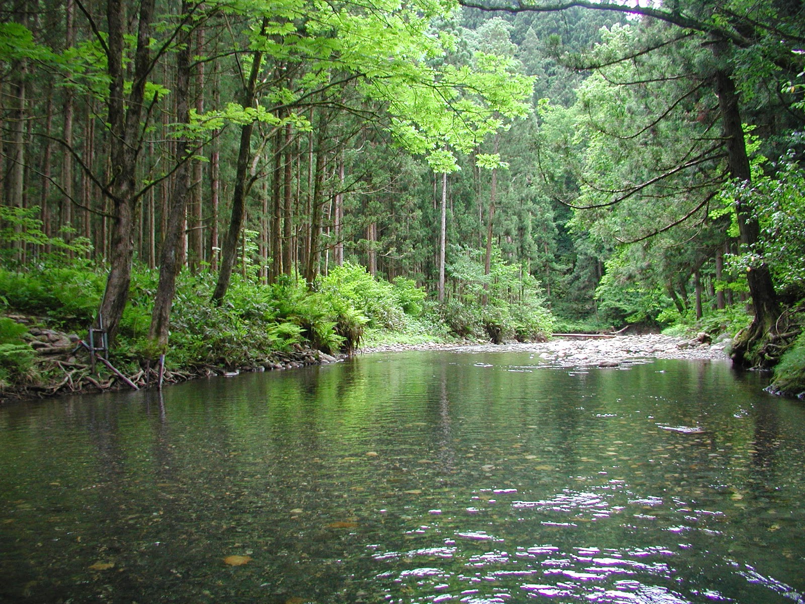 Takiya River, Niigata: A walk in the river