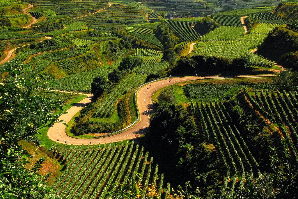 Vineyards in Germany beauty and the nature charming ~ Tourism & Trave