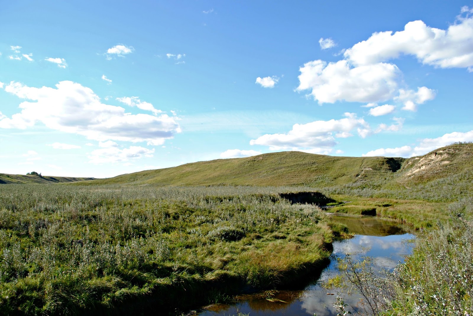 Little Prairie Baby: Head Outside