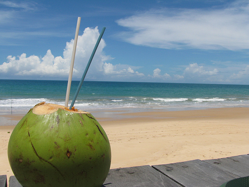 Milainox Blog: Agua de coco envasada