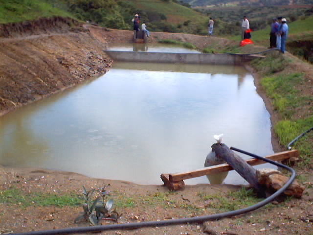 CULTIVO DE TILAPIA PARA PEQUEÑOS PRODUCTORES