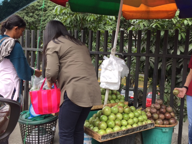 Regin's Realm: Kaimito season