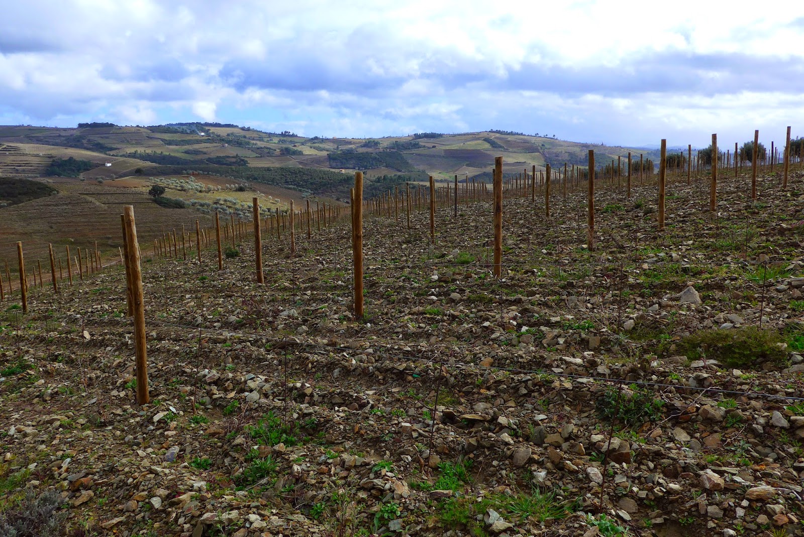 : Quinta da Faísca Winery ja Secret Spots Wines