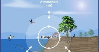 PORTAL GEOGRAFI : Pengertian Fenomena Biosfer