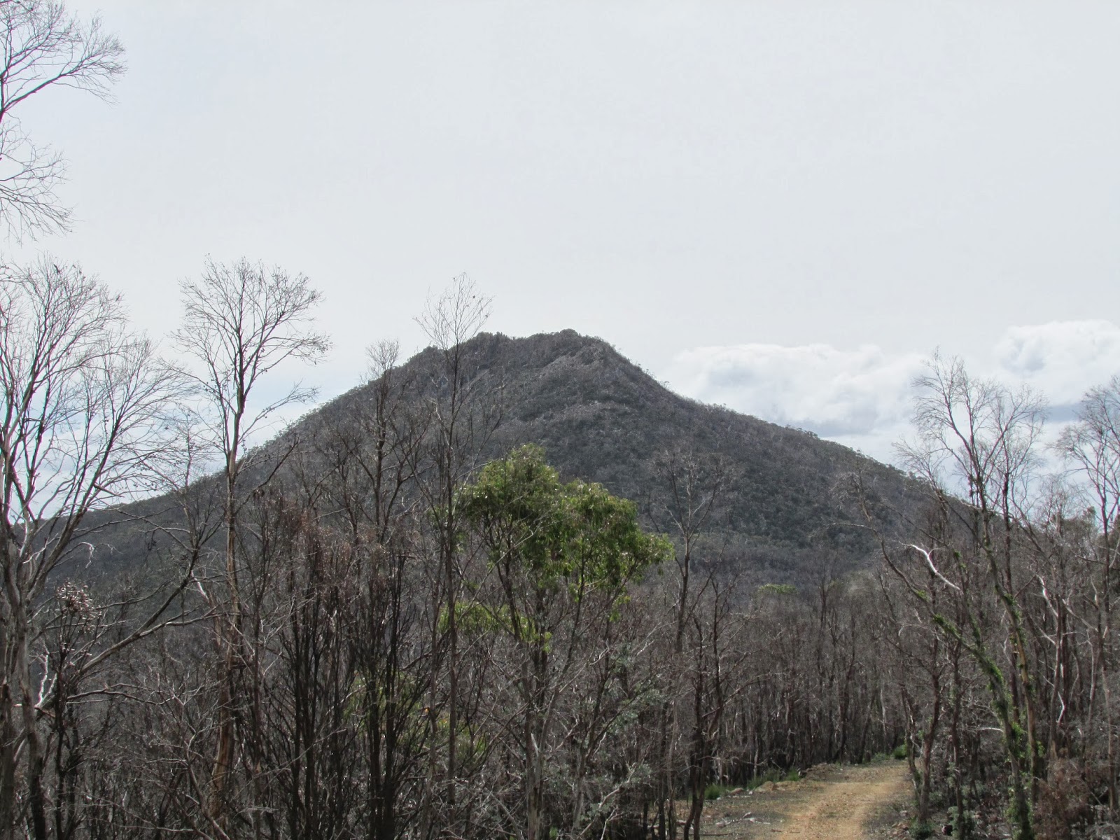Mount Charles | Hiking South East Tasmania