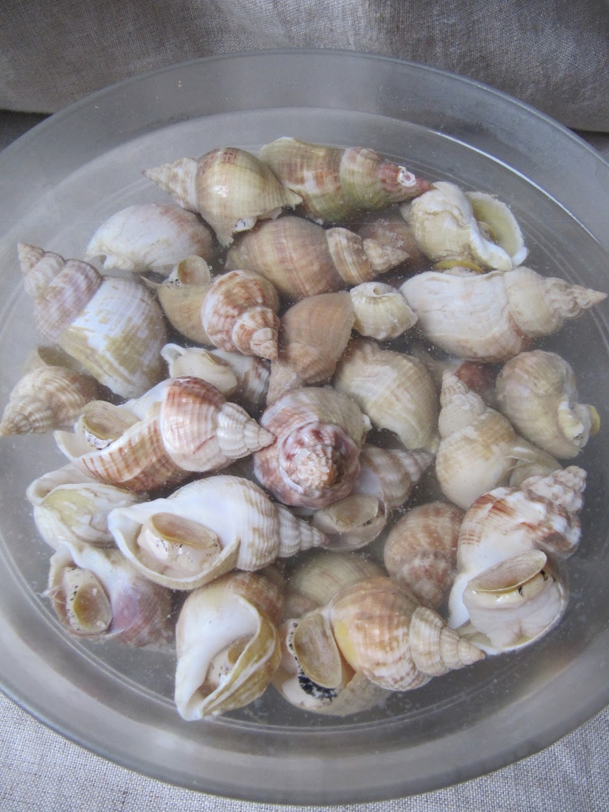 La cuisine d'ici et d'ISCA: Bulots à la mayo