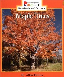 Maple Syrup Lapbook - Ben and Me