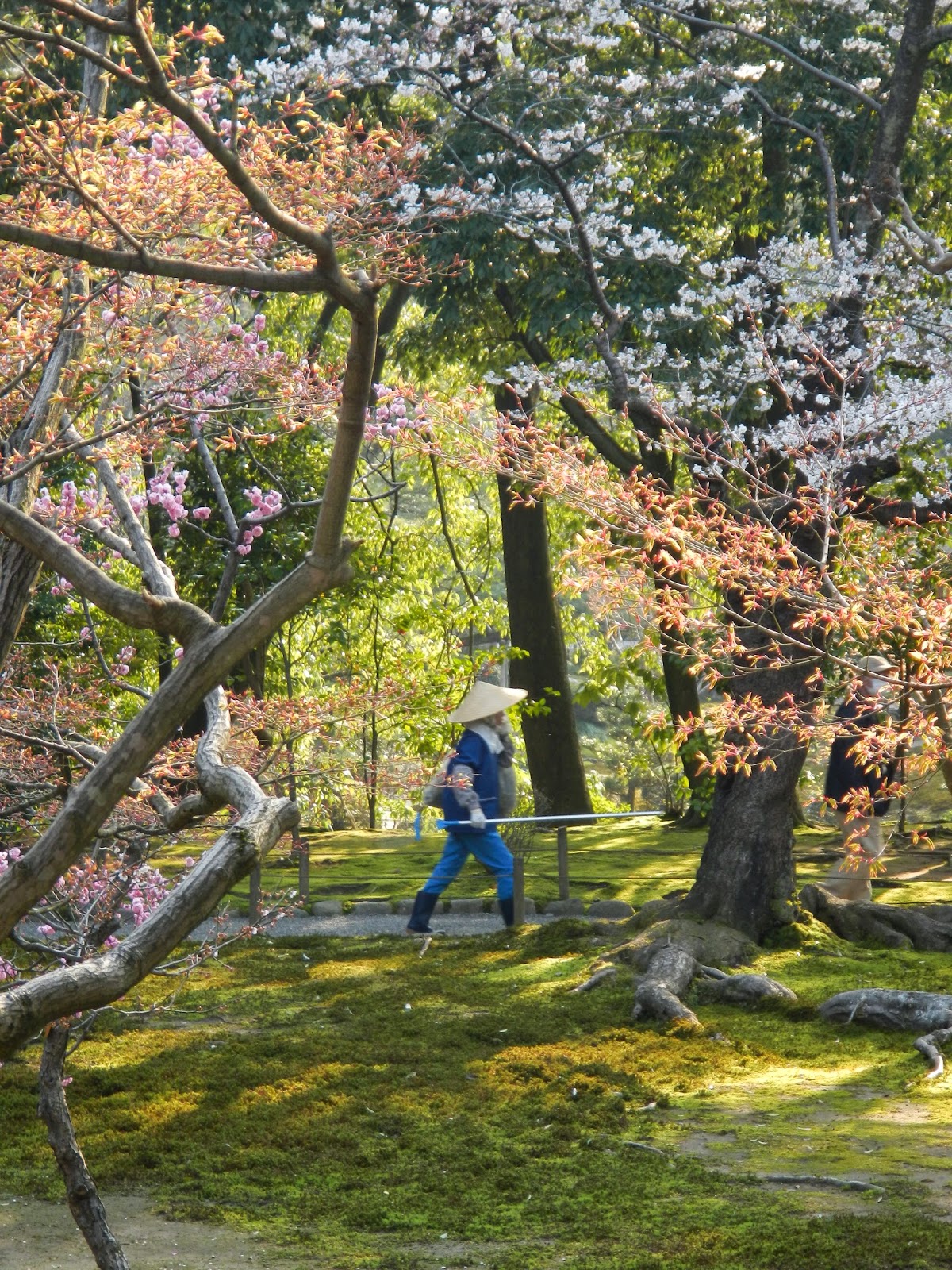 Melly und David in Japan