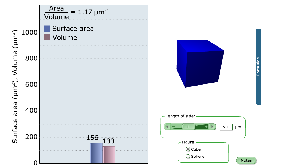 Senior Biology: Surface area to volume ratios