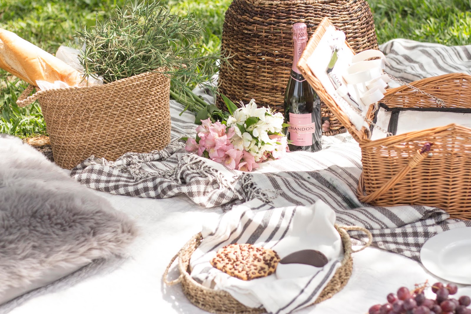 Spring Picnic | Harry P. Leu Gardens | TianShanae