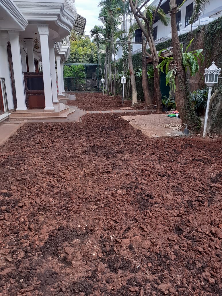 Harga jual rumput manila zoysia matrella di Jakarta April Tahun 2023 ...