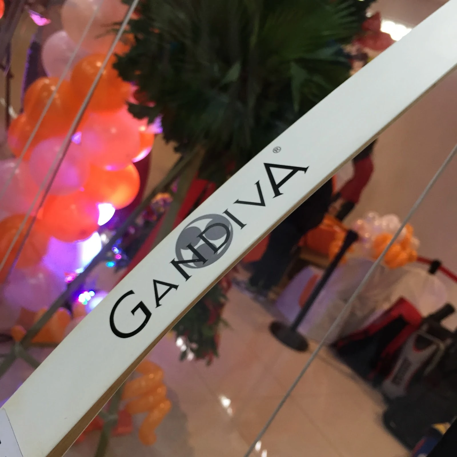 Now Open: Gandiva Archery Range Davao - Everybody's Sunshine