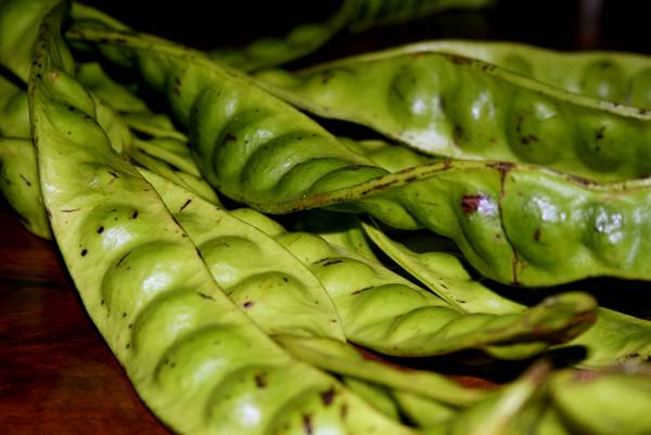 Health - Tips: Petai Benefits
