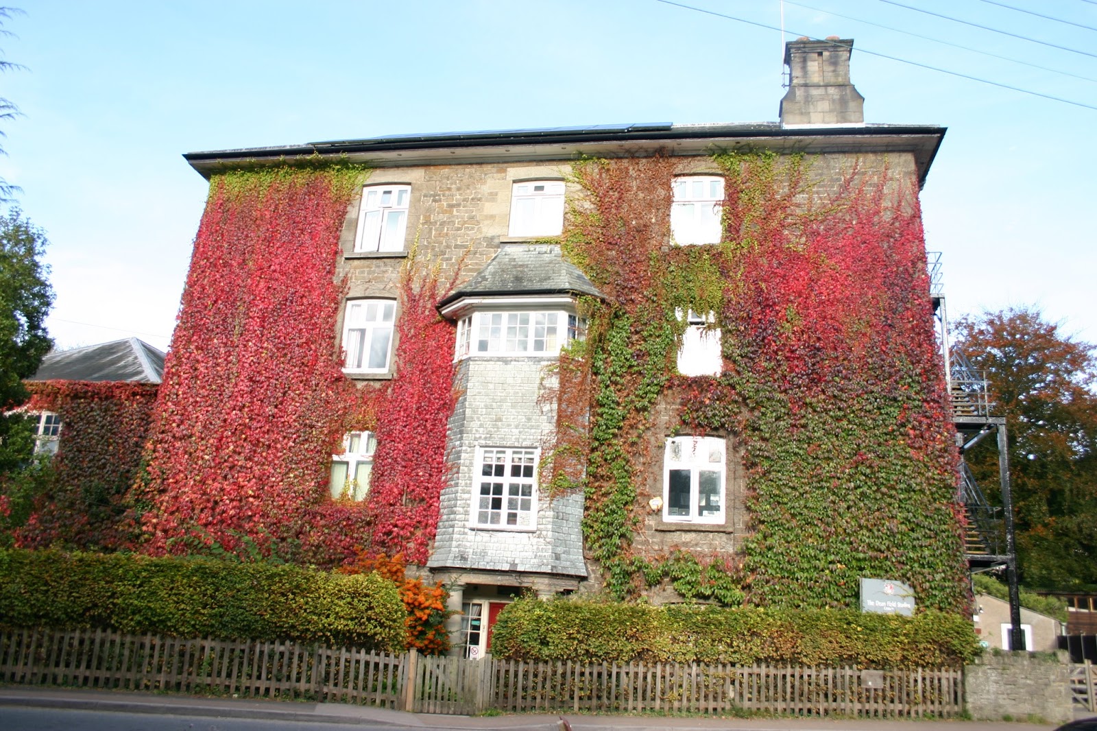 The Dean Field Studies Centre: 2017