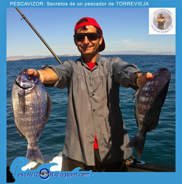 PescAVIZOR.Secretos de un pescador de TORREVIEJA: LA CHOPA: LA ...